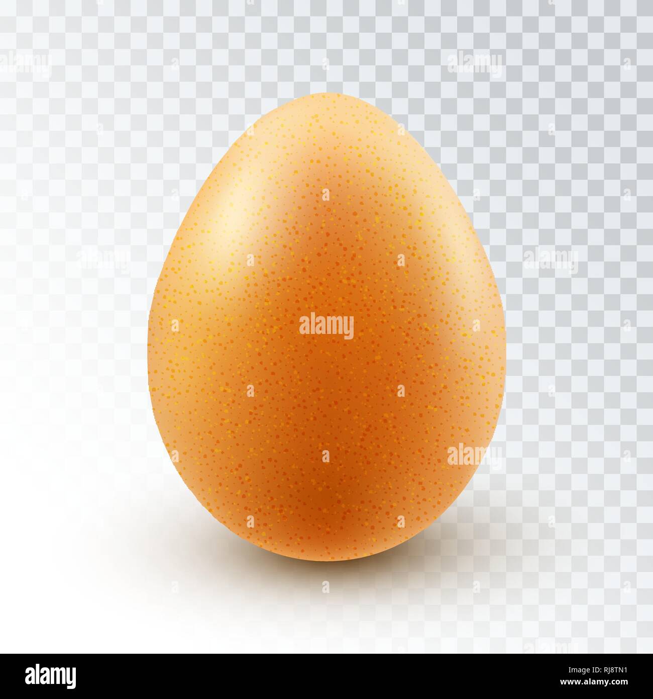 Vector Realistic Brown Chicken egg Stock Vector Image & Art - Alamy