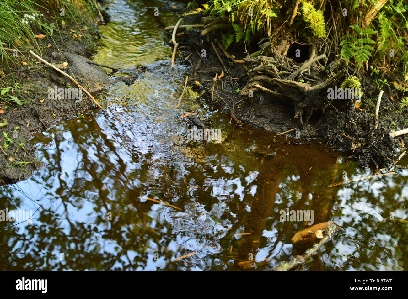 Slowly flowing water hi-res stock photography and images - Alamy