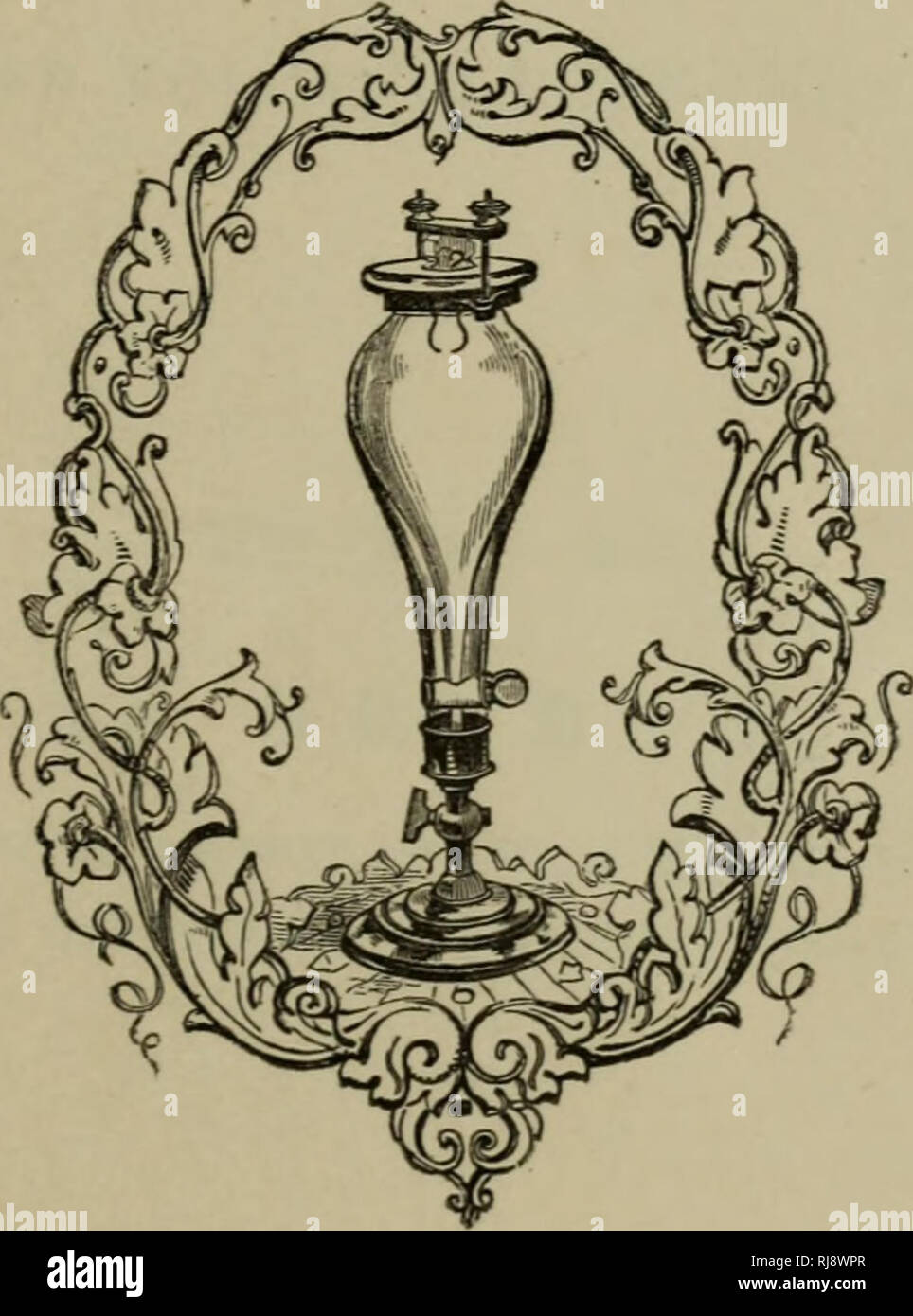 osmosis coloring page