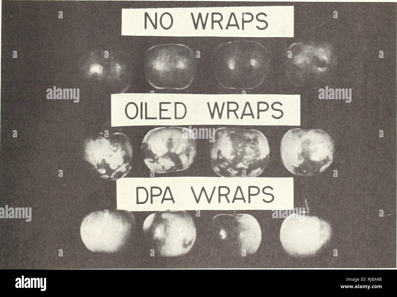 No chemical treatments hi-res stock photography and images - Alamy