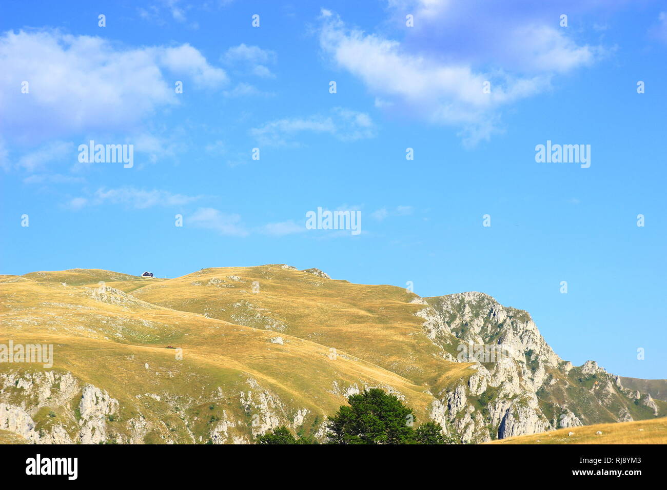 Vlasic bosnia hi-res stock photography and images - Alamy