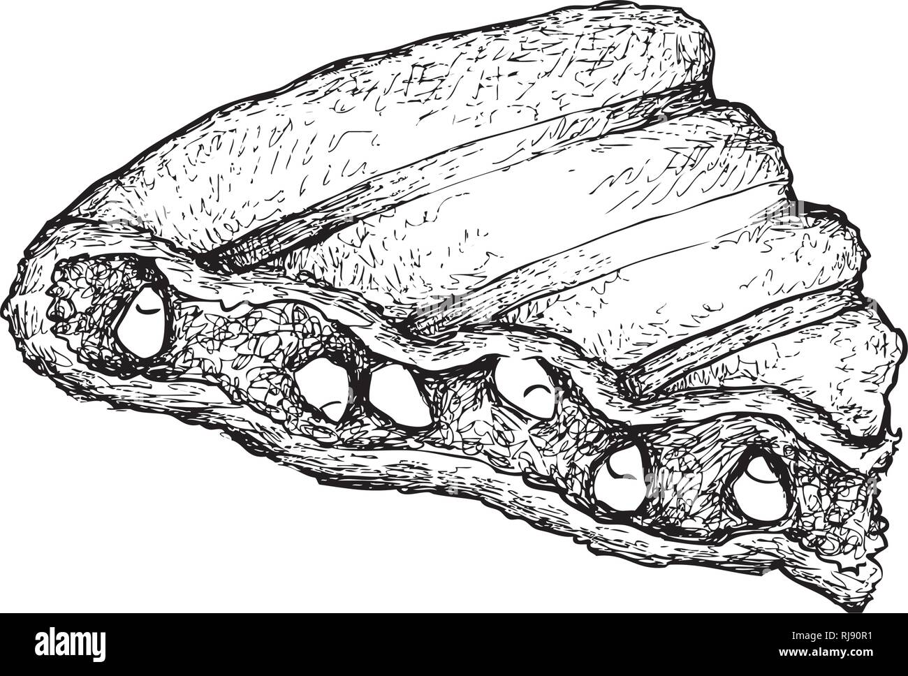 Illustration Hand Drawn Sketch of Delicious Homemade Grilled Rajma Corn ...