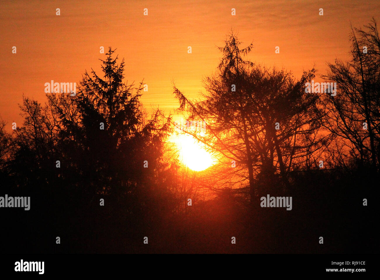 Hawarden estate winter hi-res stock photography and images - Alamy