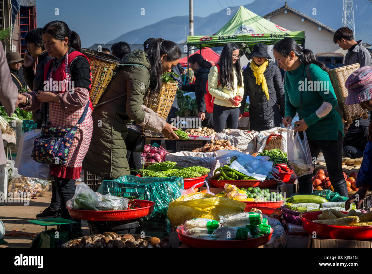 Vegetables, Friday market in Shaxi, a historic market town, Yunnan ...