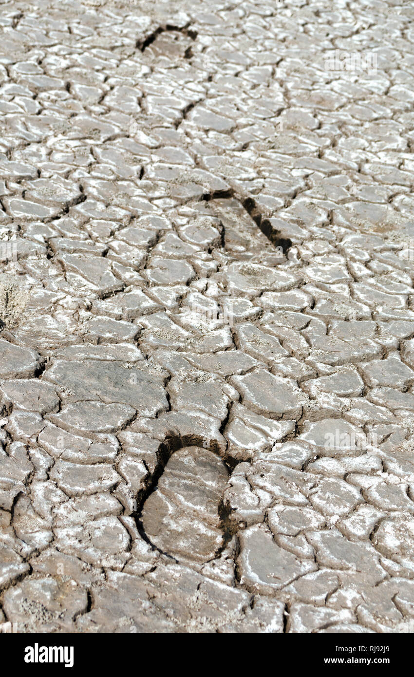 dry cracked ground Stock Photo - Alamy