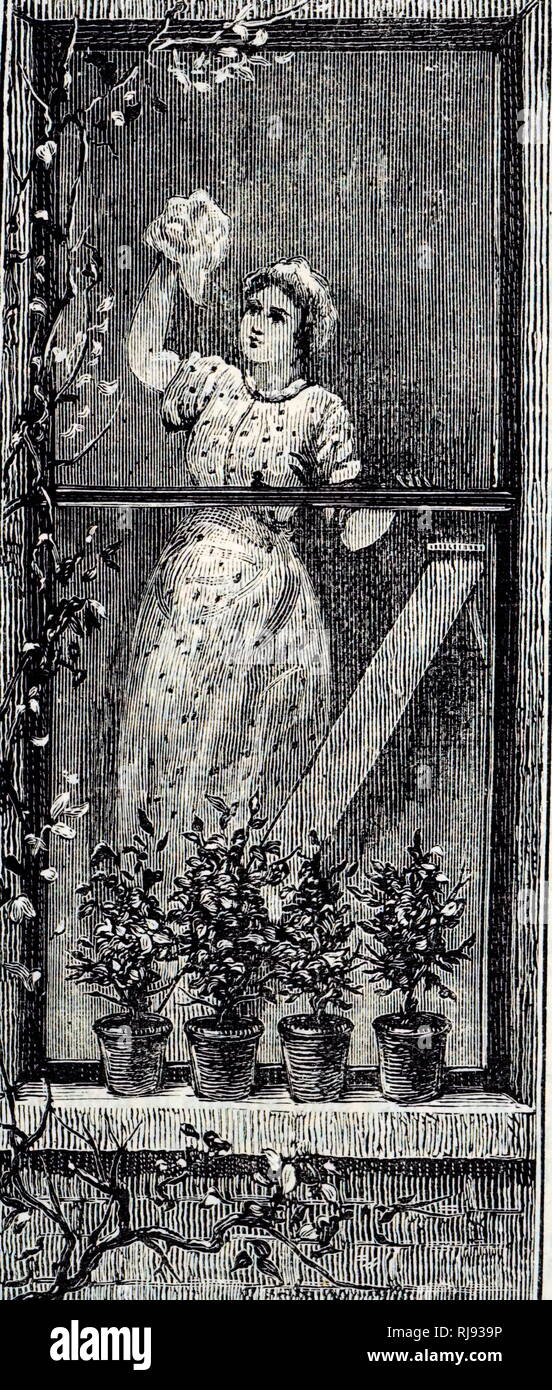 Victorian parlour maid hi-res stock photography and images - Alamy