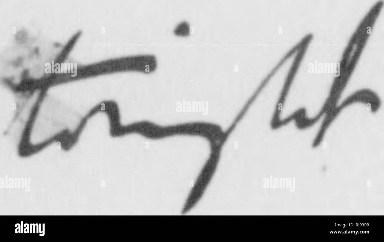 Clm sea hi-res stock photography and images - Alamy