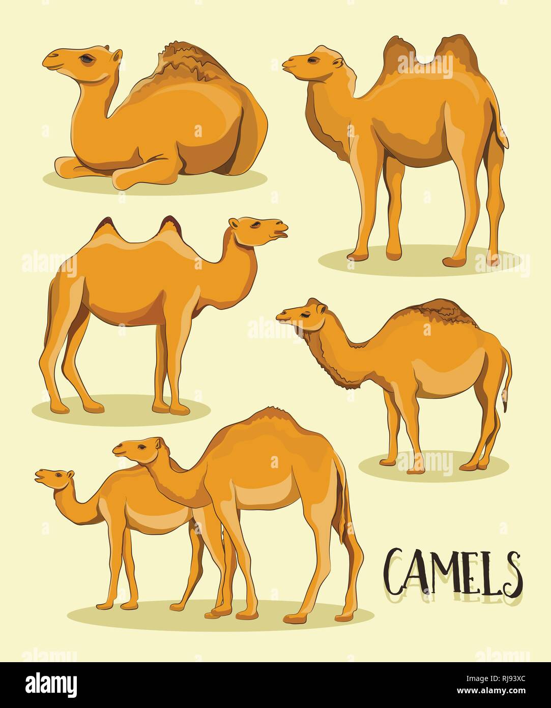 Three stands Stock Vector Images - Alamy