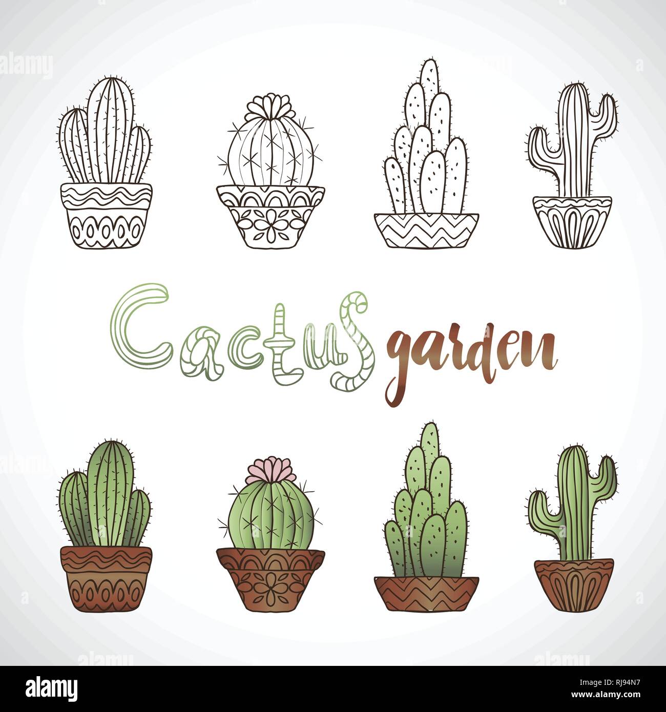 Hand drawn sketch, vector cactus set. Color exotic plants illustration ...