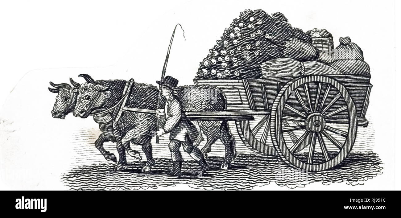 Oxen Pulling Wagon Clip Art