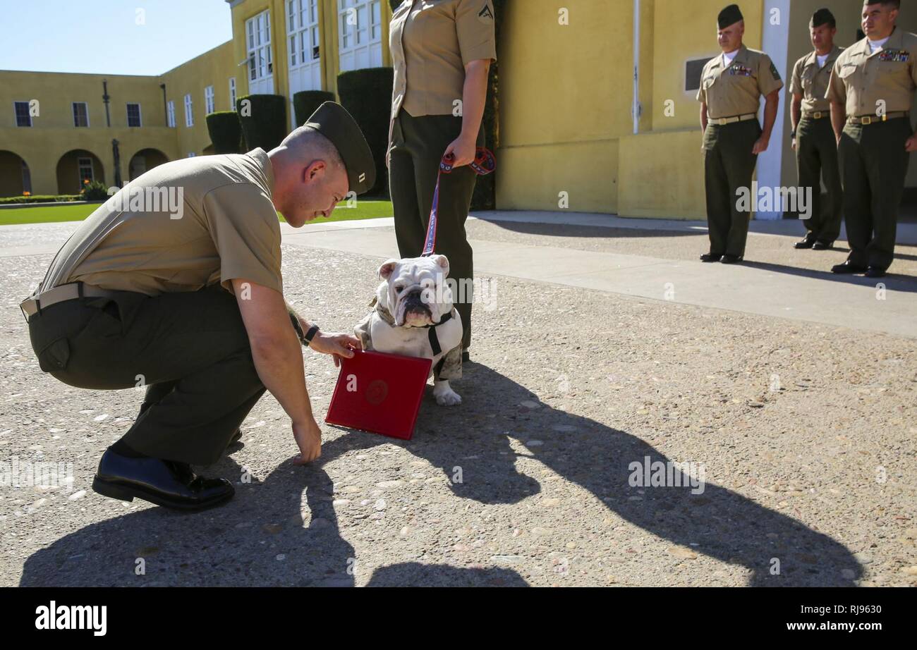 Corporalof marines hi-res stock photography and images - Alamy