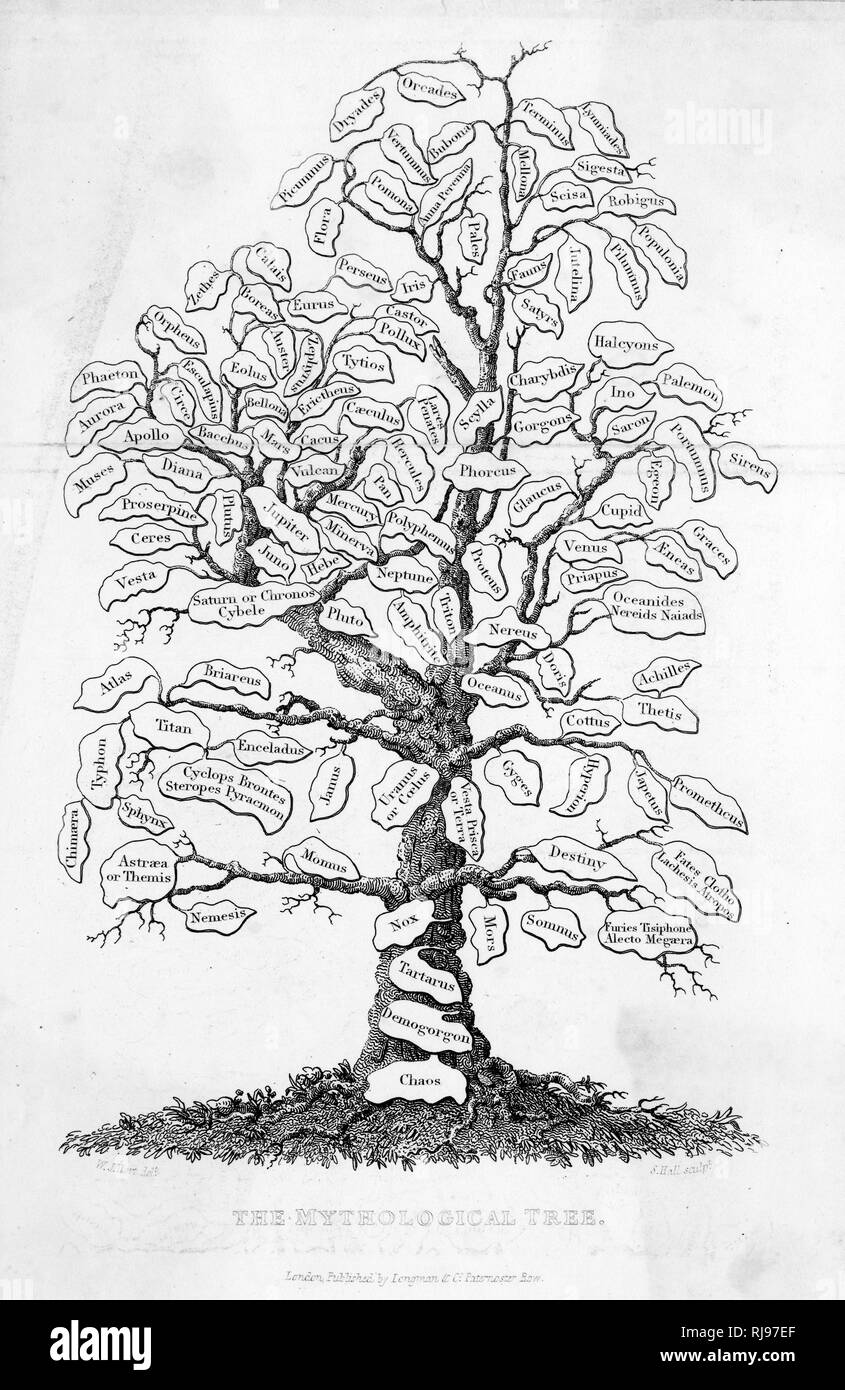 TREE OF CLASSICAL MYTH Stock Photo - Alamy
