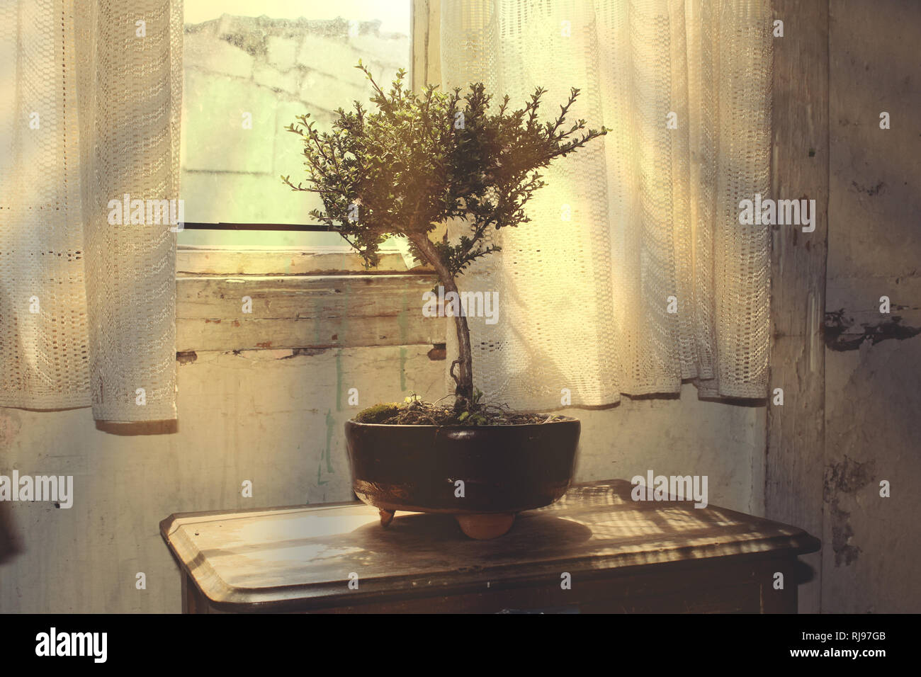 Three to life Stock Photo - Alamy