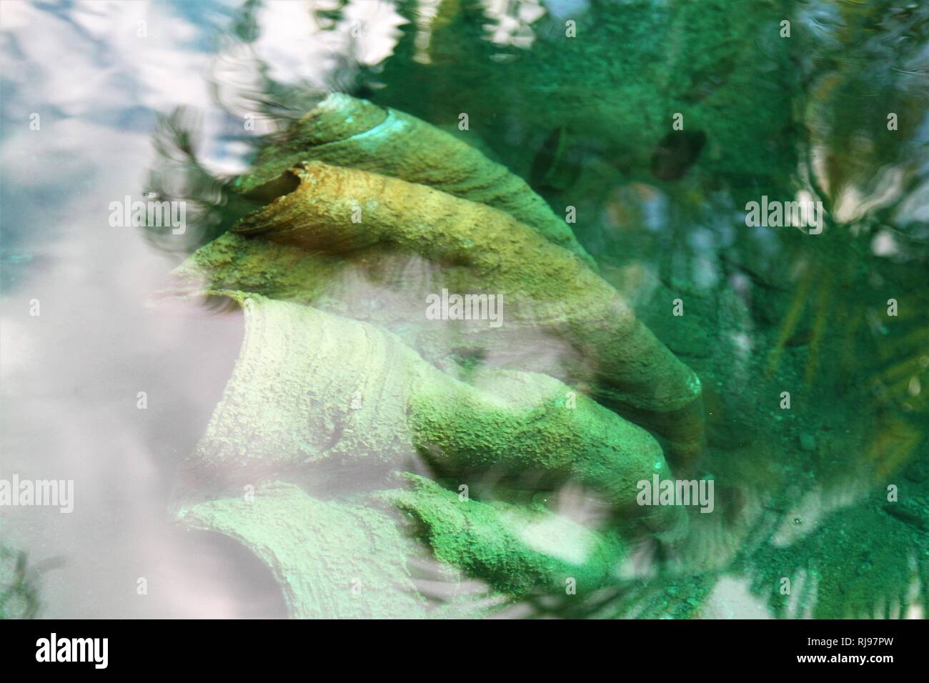 Green objects hi-res stock photography and images - Alamy