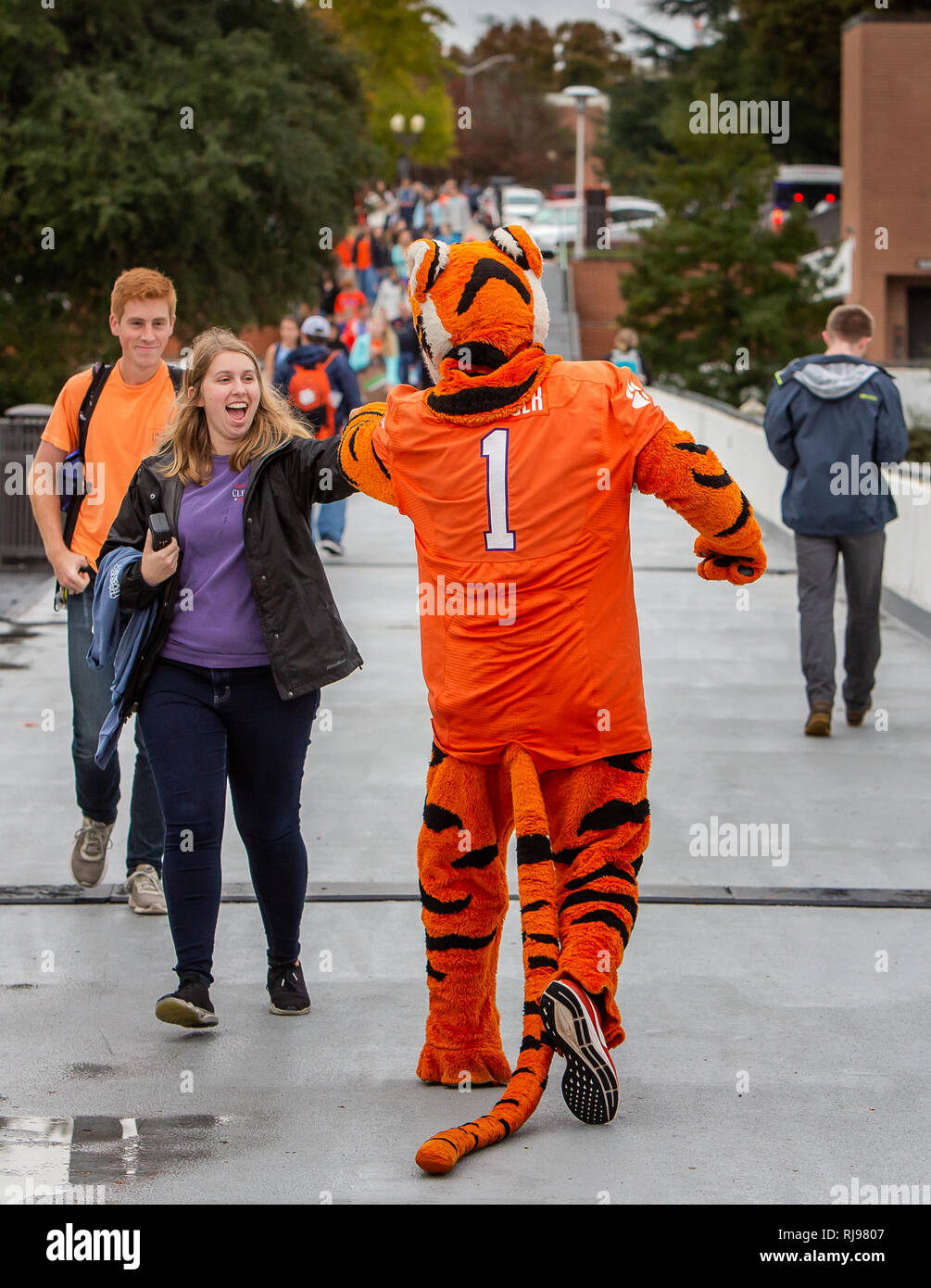 Clemson University mascot The Tiger and Cubby during football parade ...