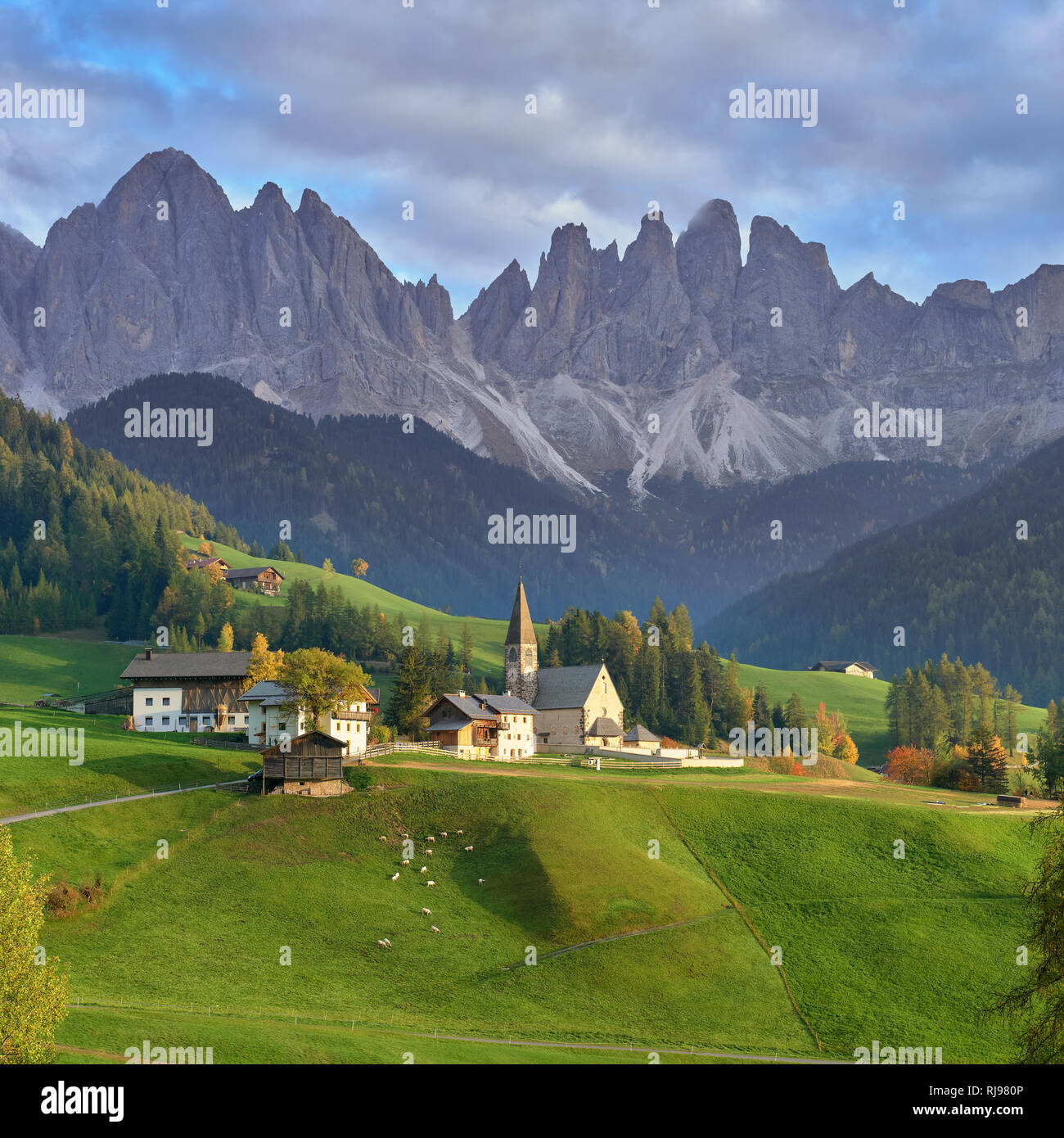 Autumn View Of Santa Maddalena Or St Magdalena Church Val Di Funes Autumn View Of Santa Maddalena Or St Magdalena Church Val Di Funes