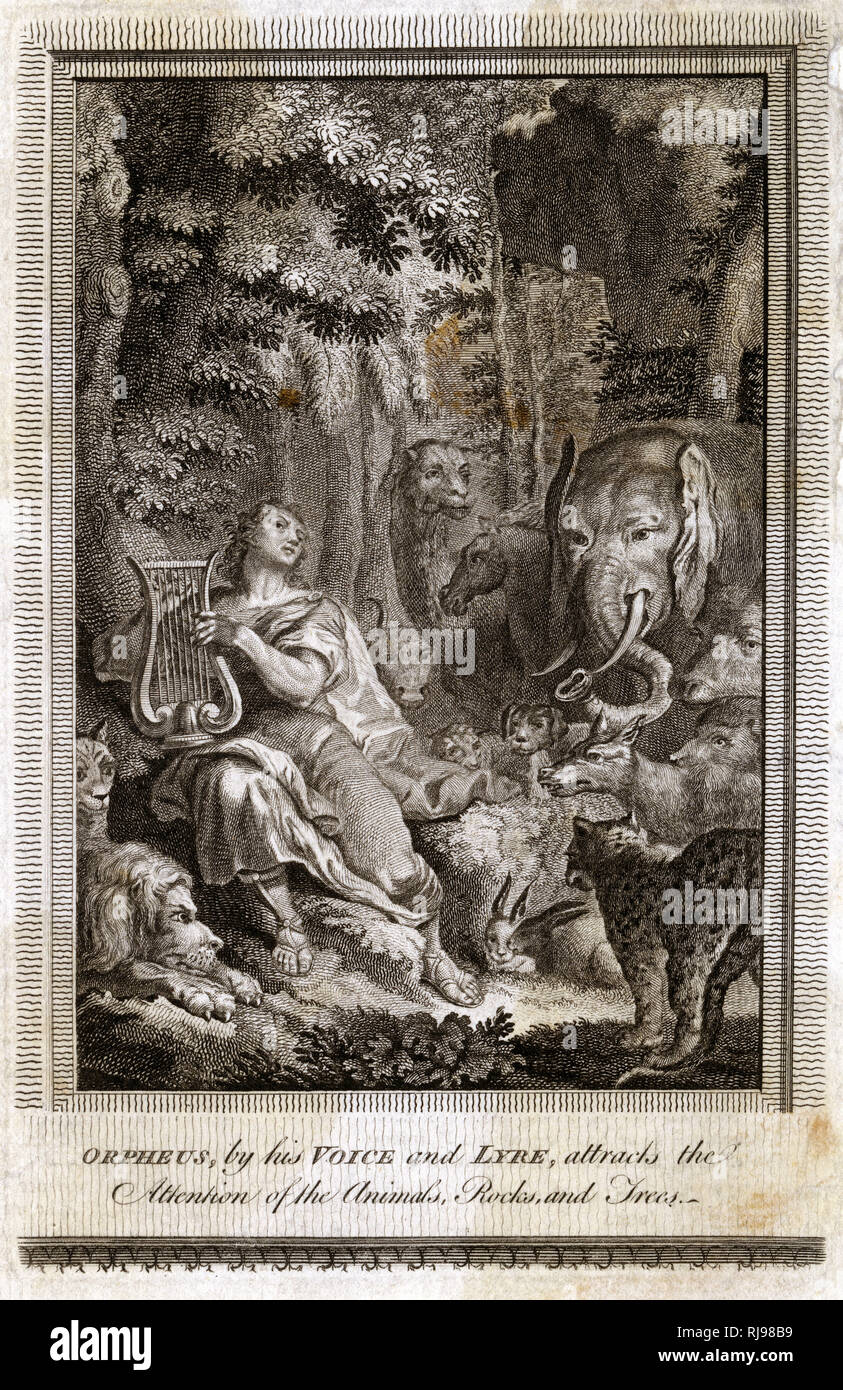 Orpheus charming animals hi-res stock photography and images - Alamy