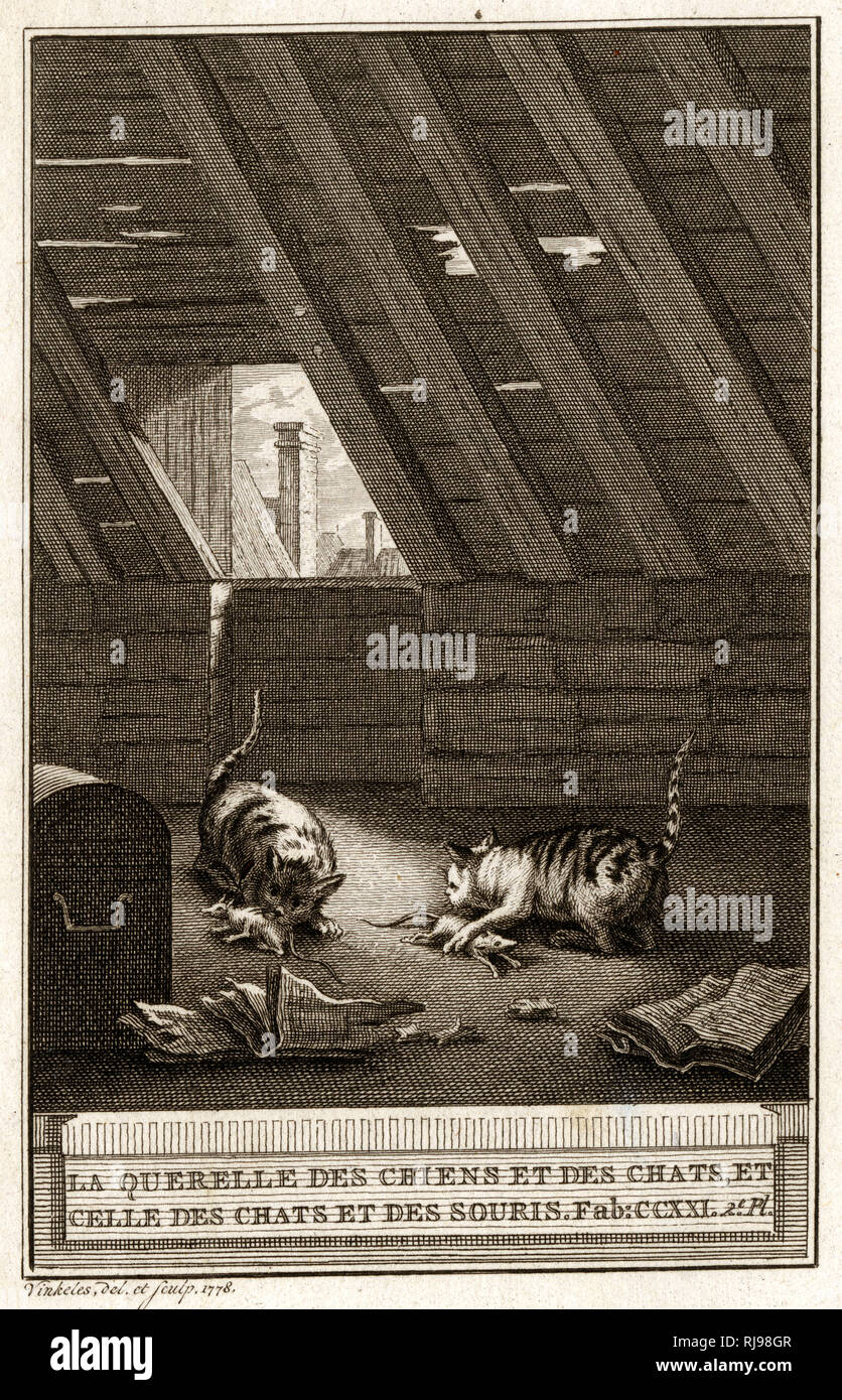 Fables cats hi-res stock photography and images - Alamy