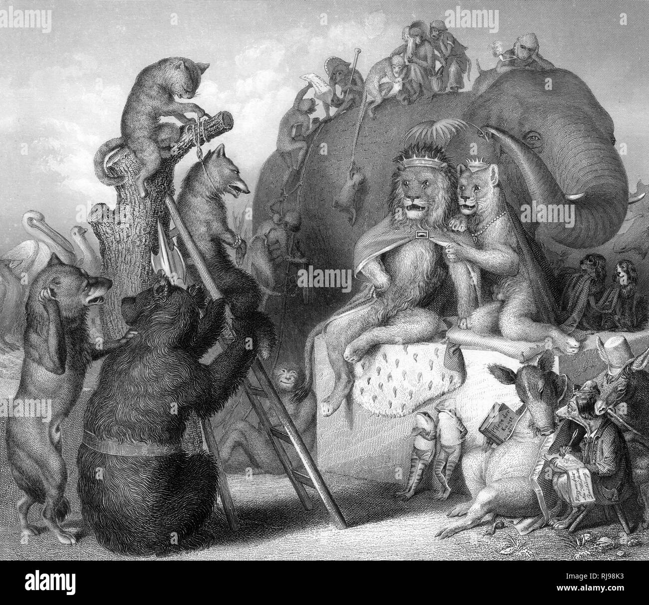 Execution By An Elephant High Resolution Stock Photography and Images ...