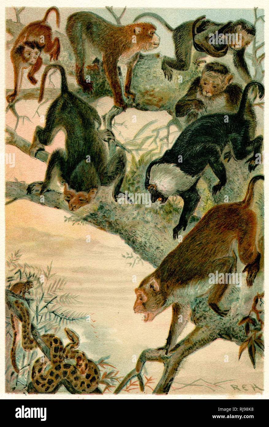 H e r hi-res stock photography and images - Alamy