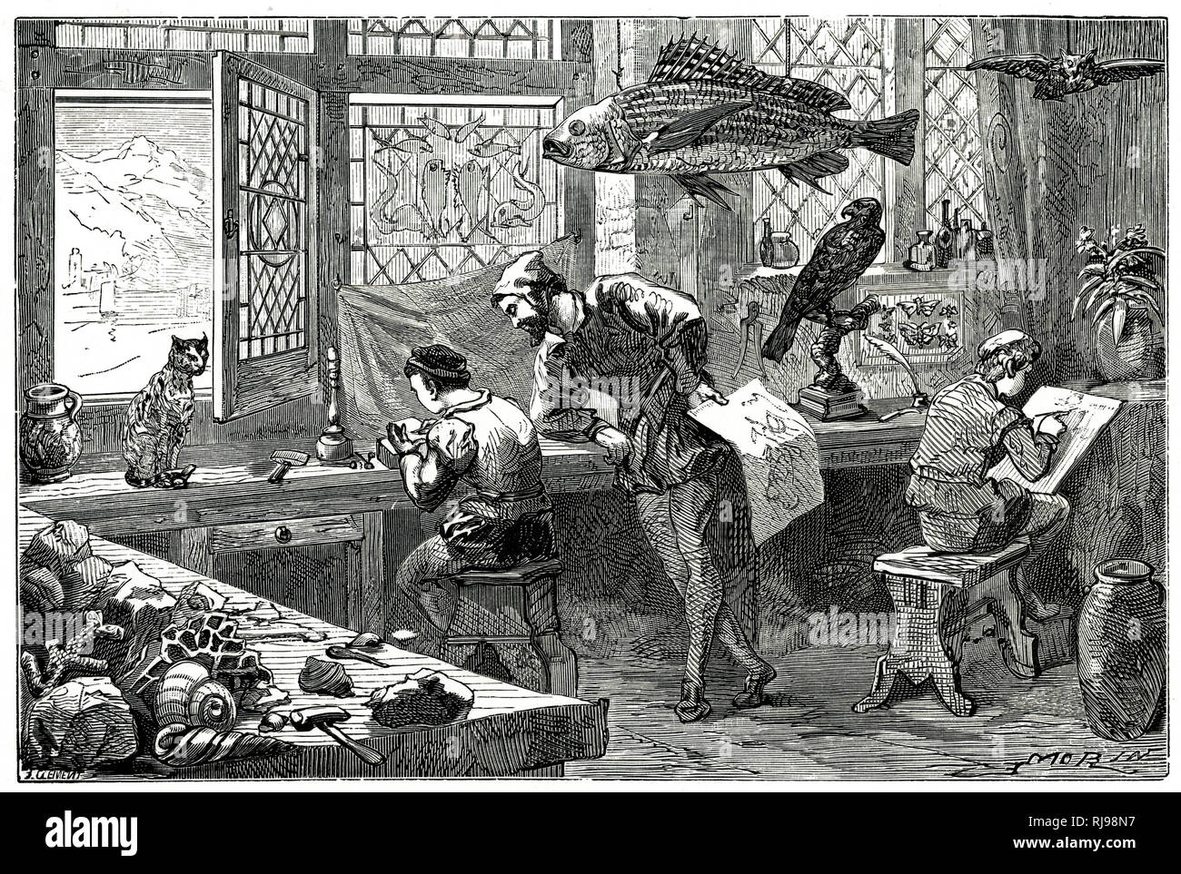 CONRAD GESNER'S STUDY Stock Photo - Alamy