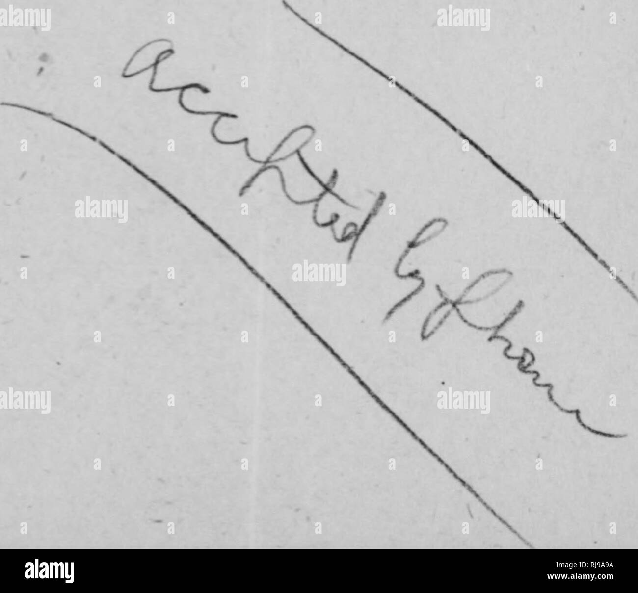 . C. Hart Merriam papers : including correspondence, papers relating to ...