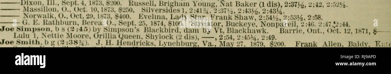 Shannon hill horse hi-res stock photography and images - Alamy