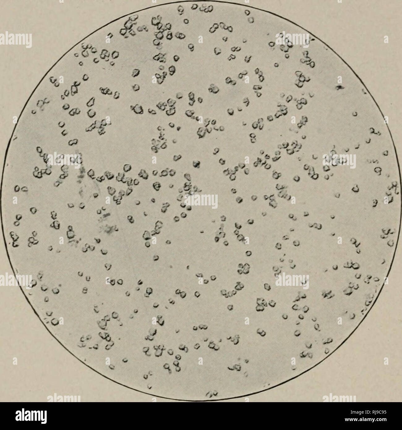 Potassium iodide solution hi-res stock photography and images - Alamy