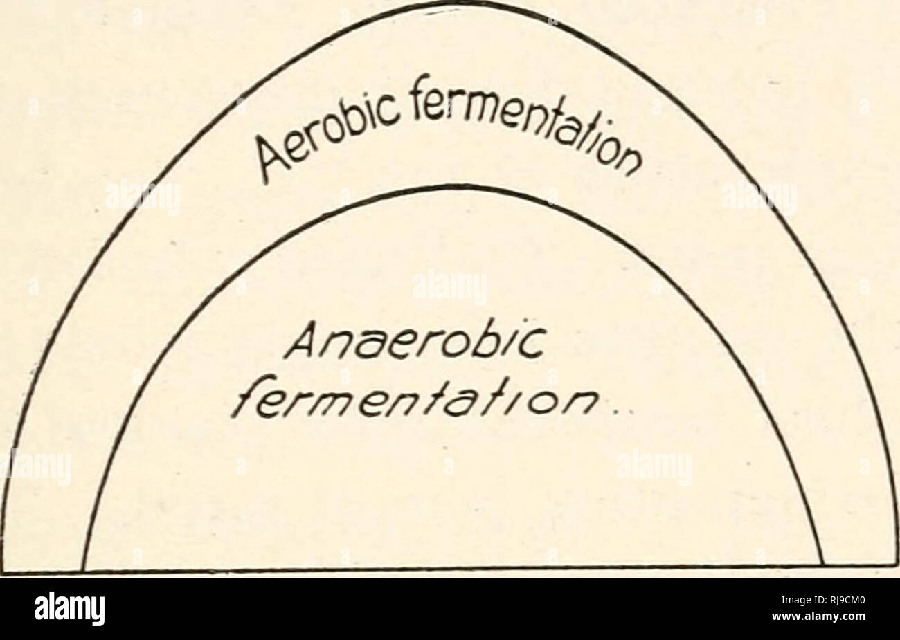 Aerobic Fermentation High Resolution Stock Photography and Images - Alamy