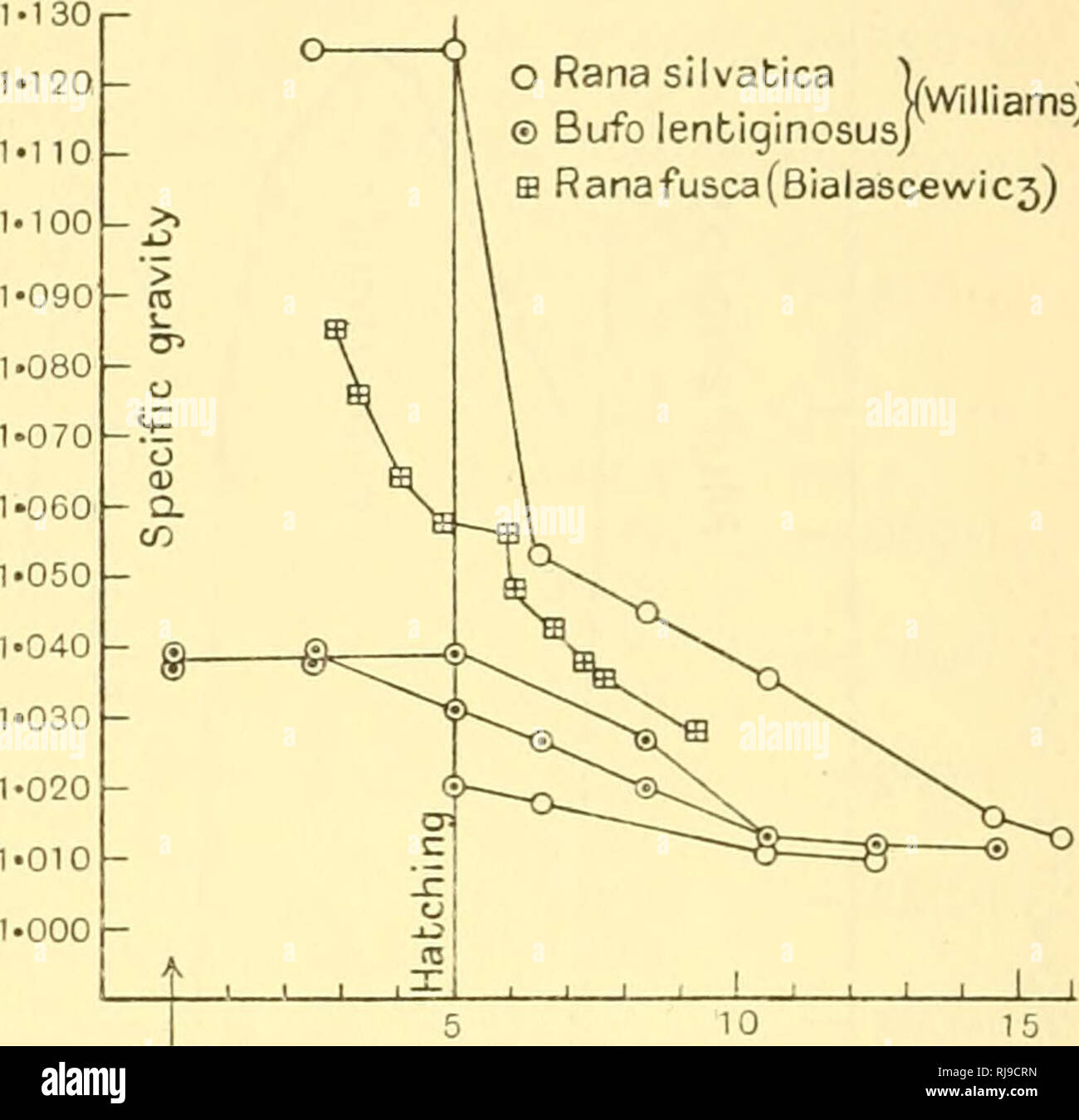 Thermal expansion water hi-res stock photography and images - Alamy