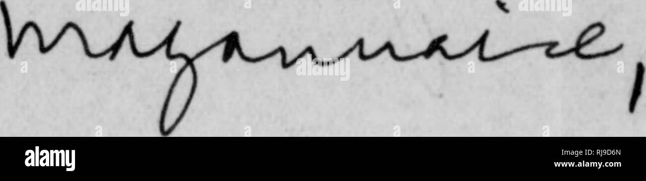 Cattorn Black and White Stock Photos & Images - Alamy