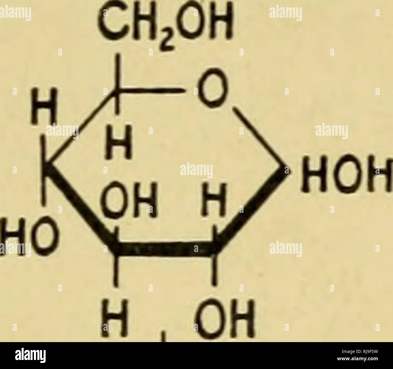 . The chemical activities of bacteria. Bacteria. ETHYL ALCOHOL ...