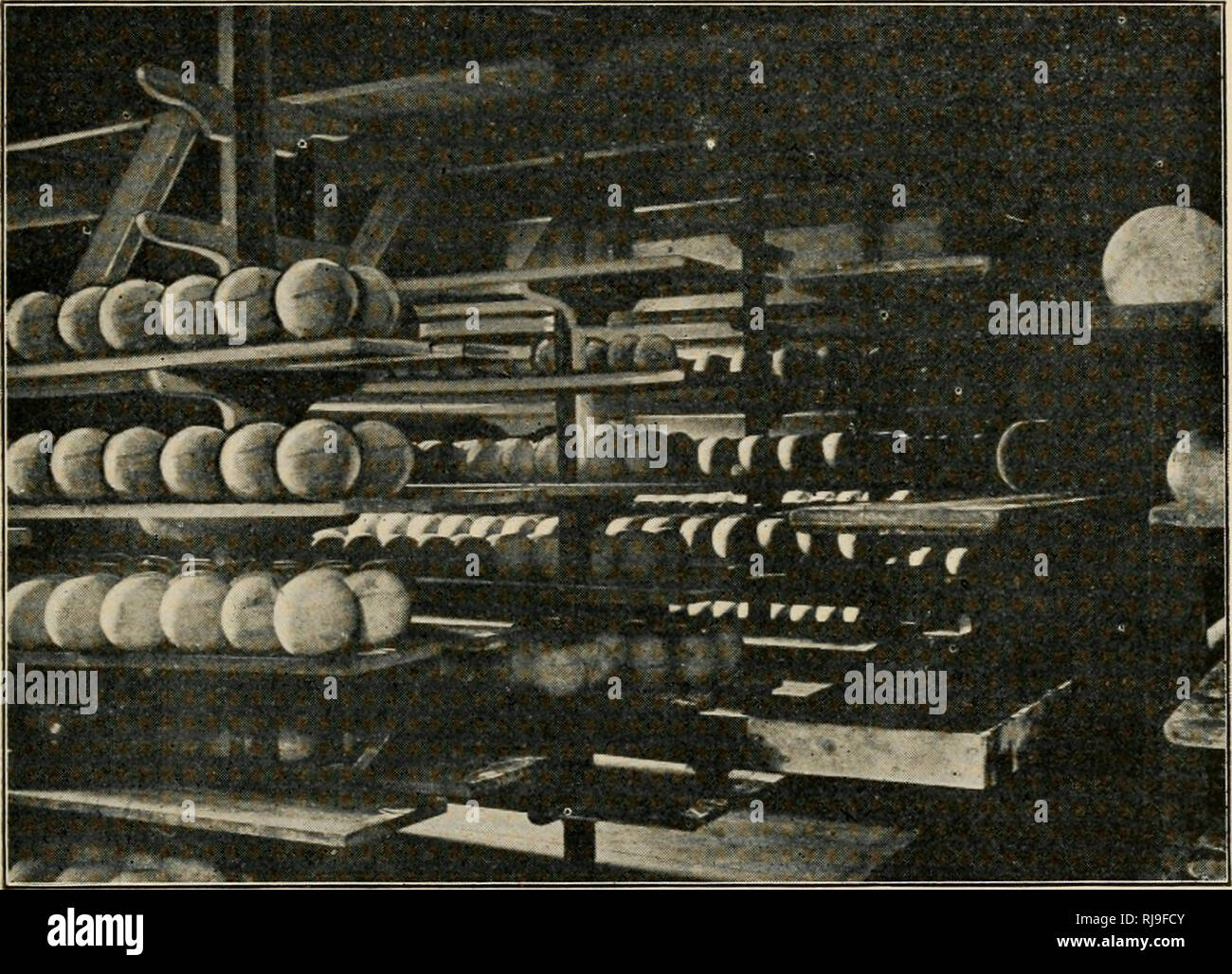 . Cheese making. Cheesemaking. Edam Cheese. 169 awaits the next ...