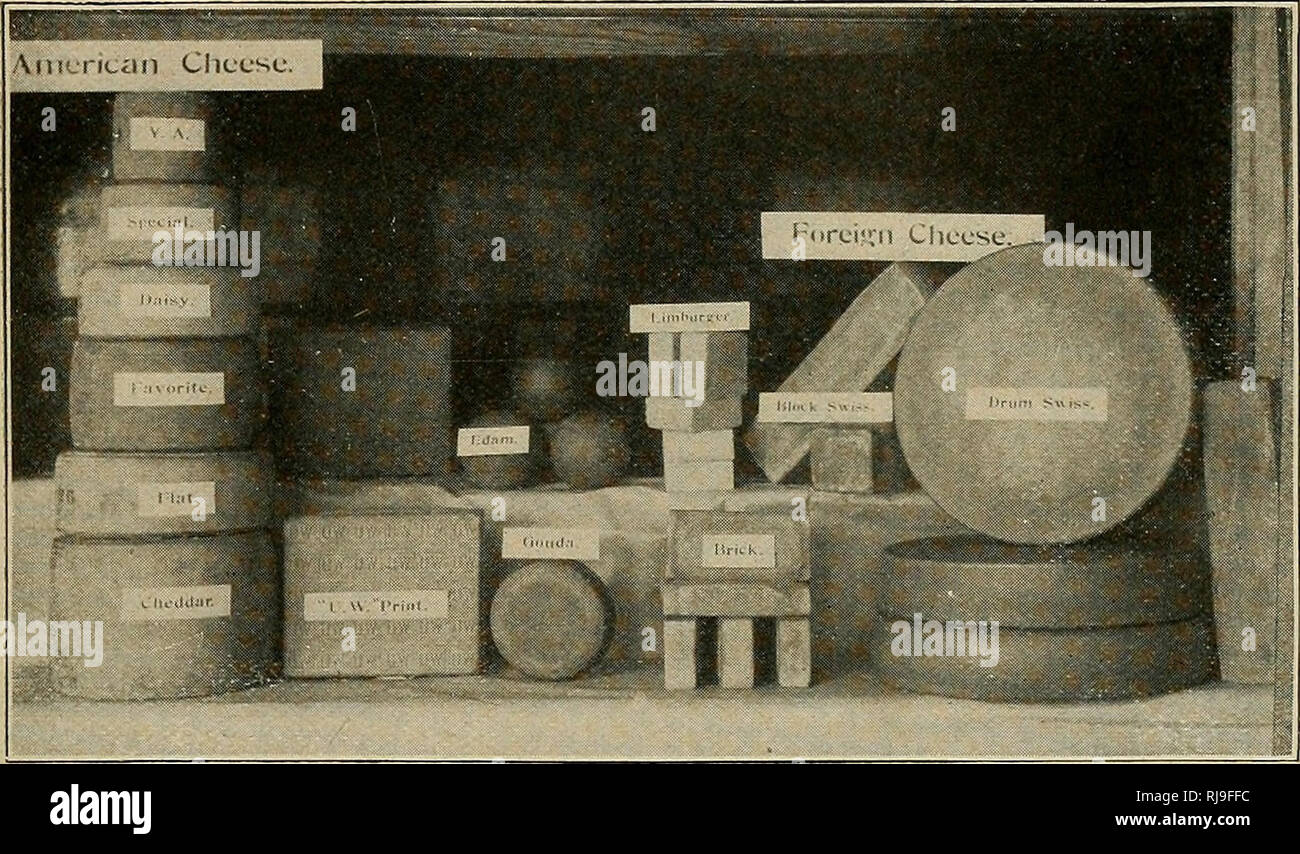 . Cheese making;. Cheesemaking. Salting and Pressing the Curd. 83 ten ...