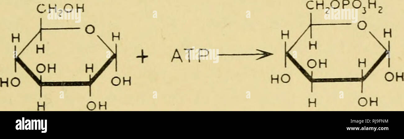 de phosphorylation