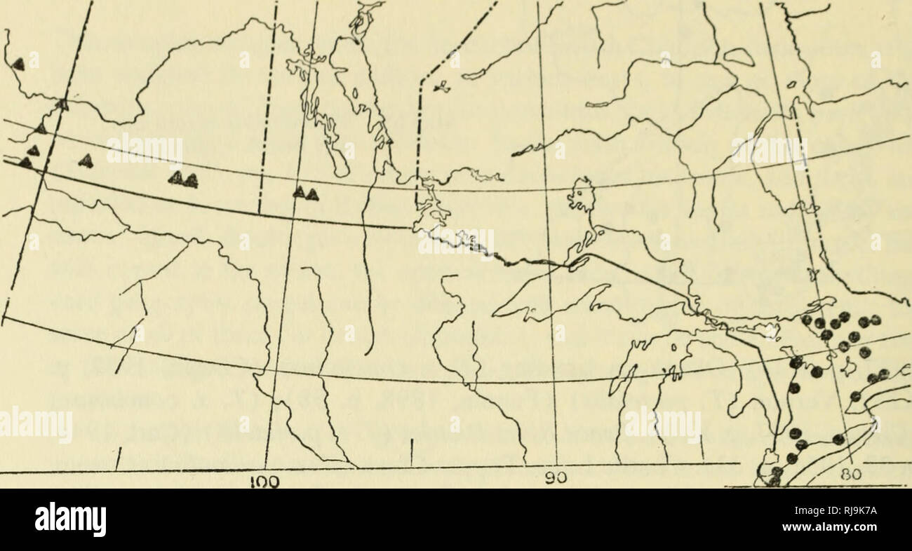 Map of darlington hi-res stock photography and images - Alamy