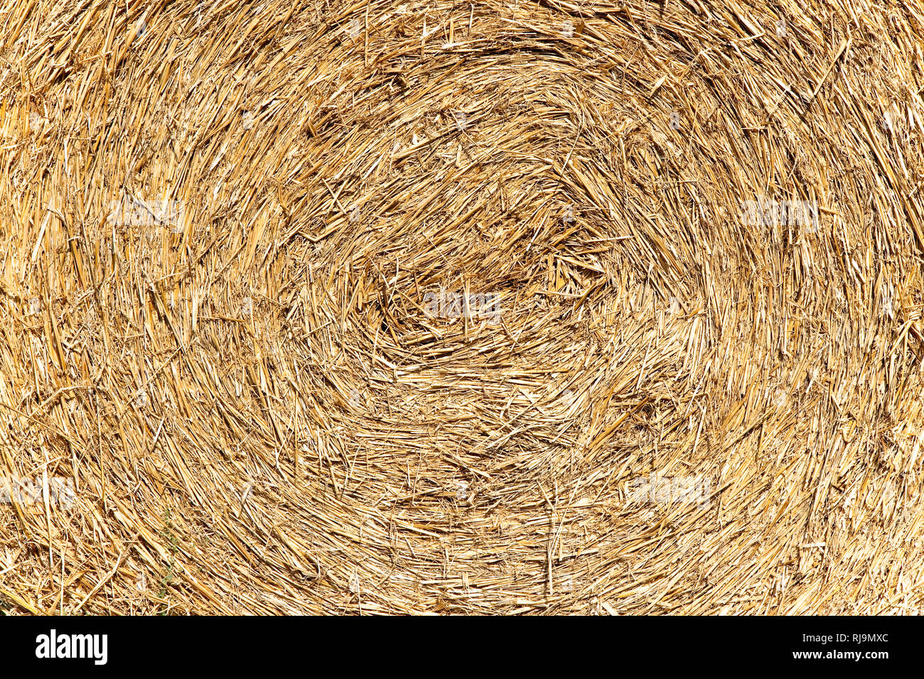 Straw background: straw made ??in a circular pattern Stock Photo - Alamy