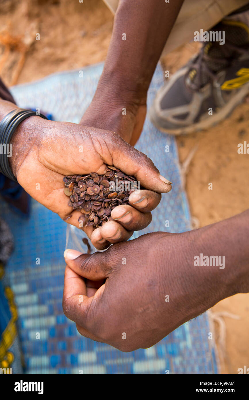 Dawa Dawa Tree High Resolution Stock Photography and Images - Alamy