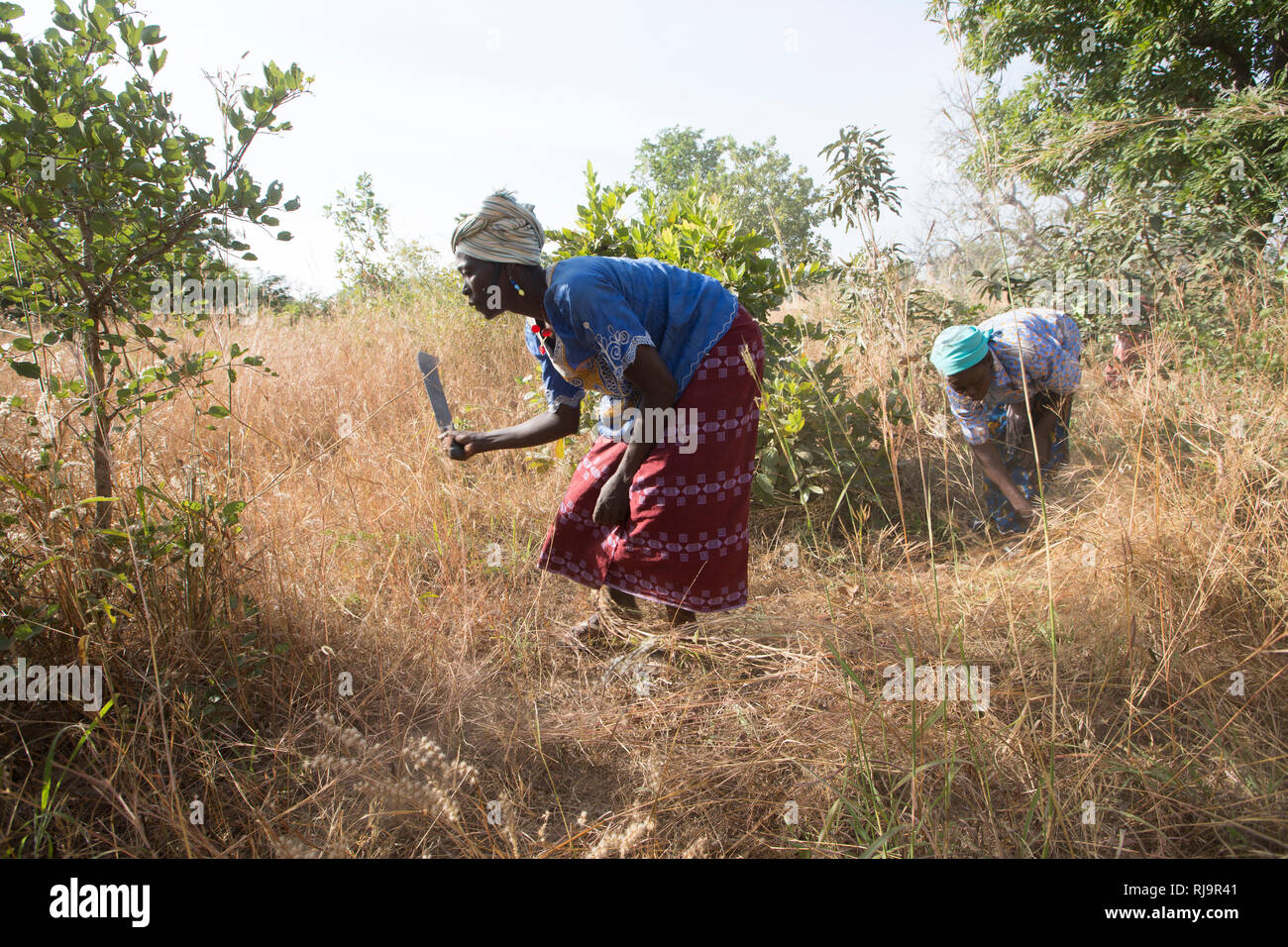 Livlihood hi-res stock photography and images - Alamy