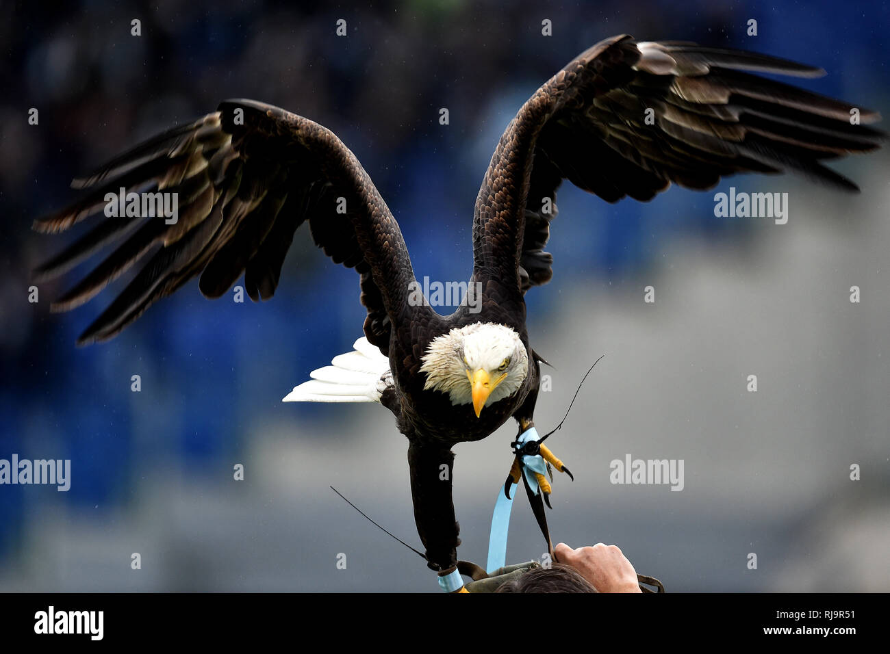 Lazio's mascotte the eagle Olimpia ahead the Serie A 2018/2019 football ...
