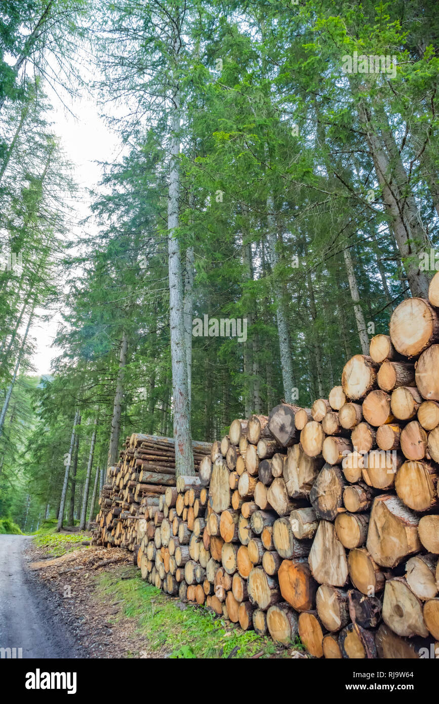 Log deforestation forest background hi-res stock photography and images ...