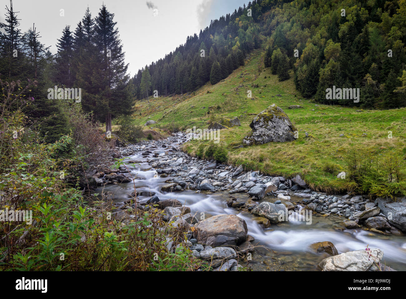 Im bach hi-res stock photography and images - Alamy