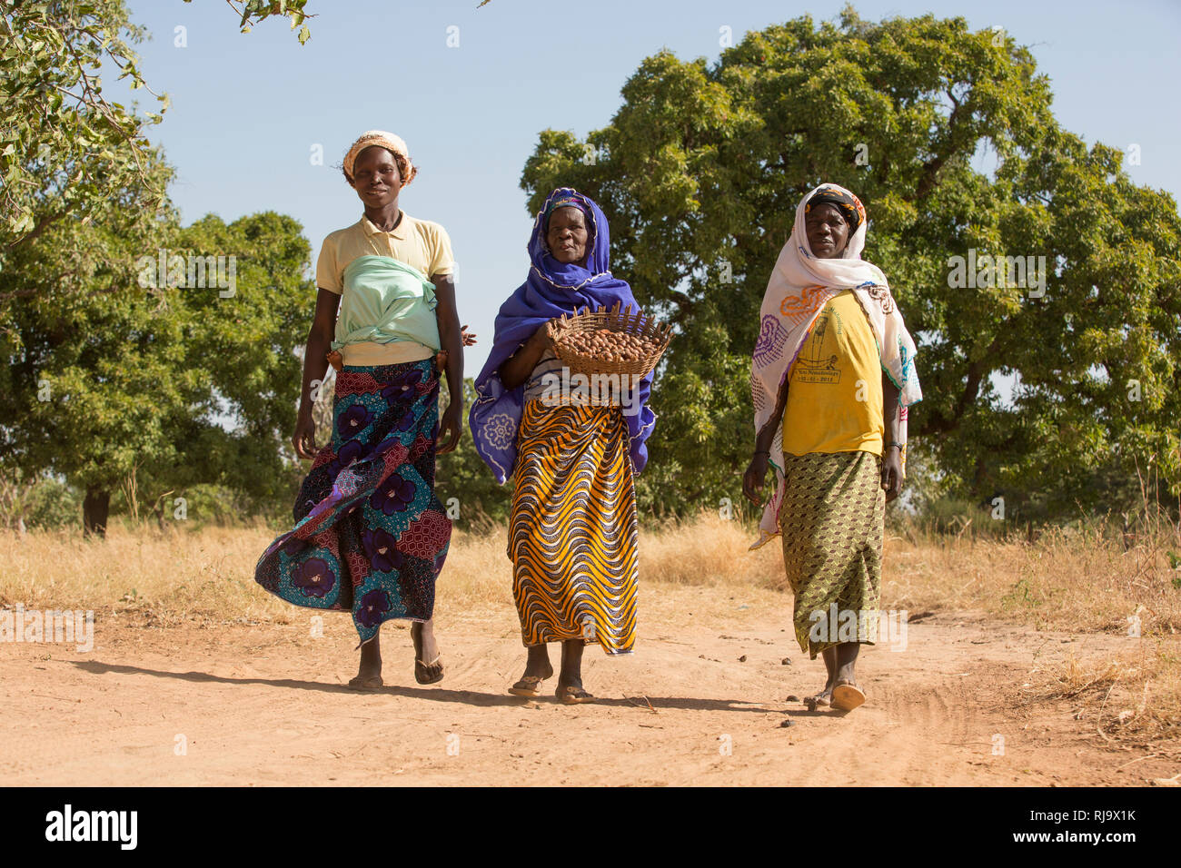 Shea tree hi-res stock photography and images - Alamy