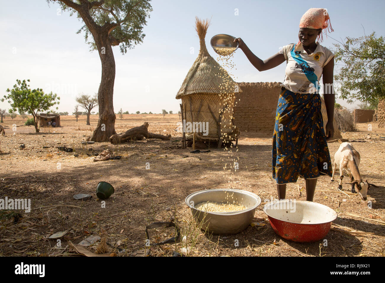Winnowing africa hi-res stock photography and images - Alamy