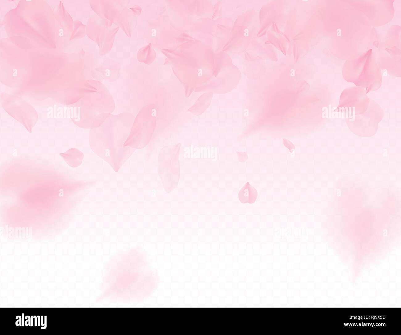 Rose Petals Falling Hi-res Stock Photography And Images, 60% OFF