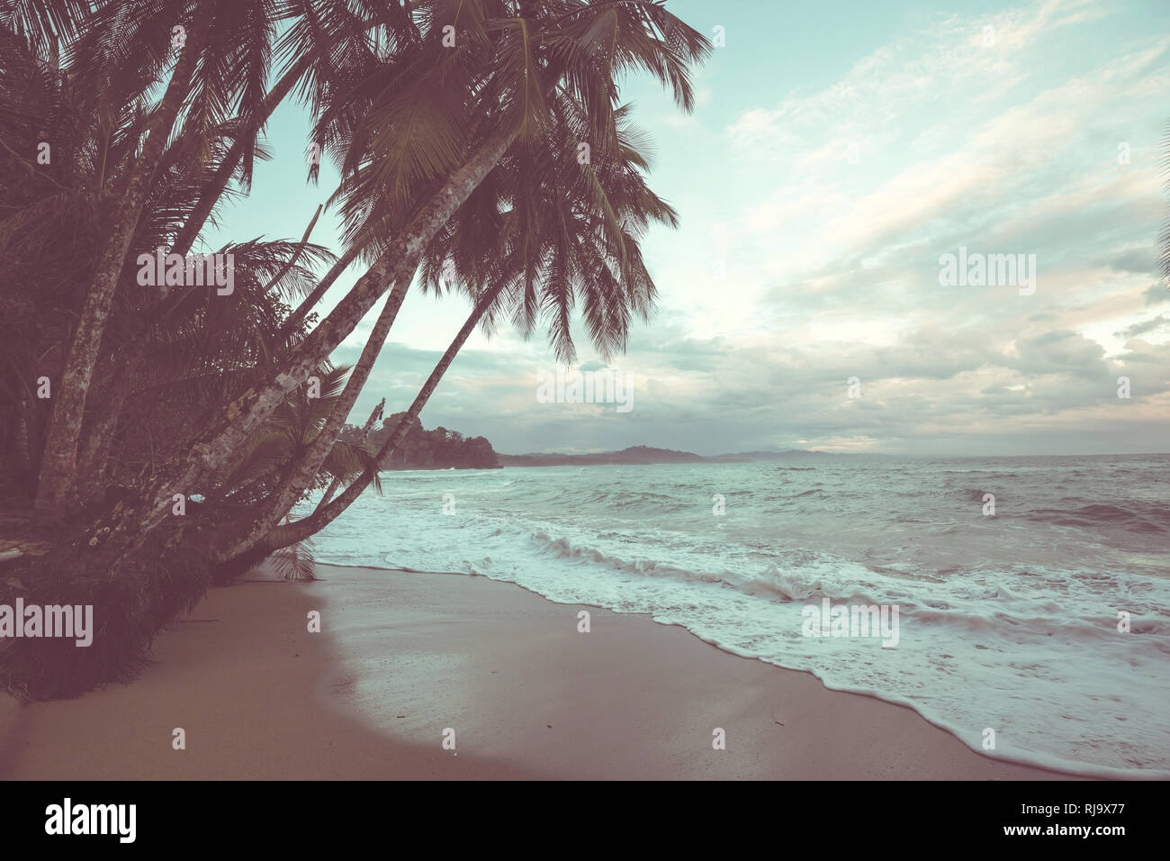 Amazing hawaiian beach. Wave in ocean at sunset or sunrise with surfer ...