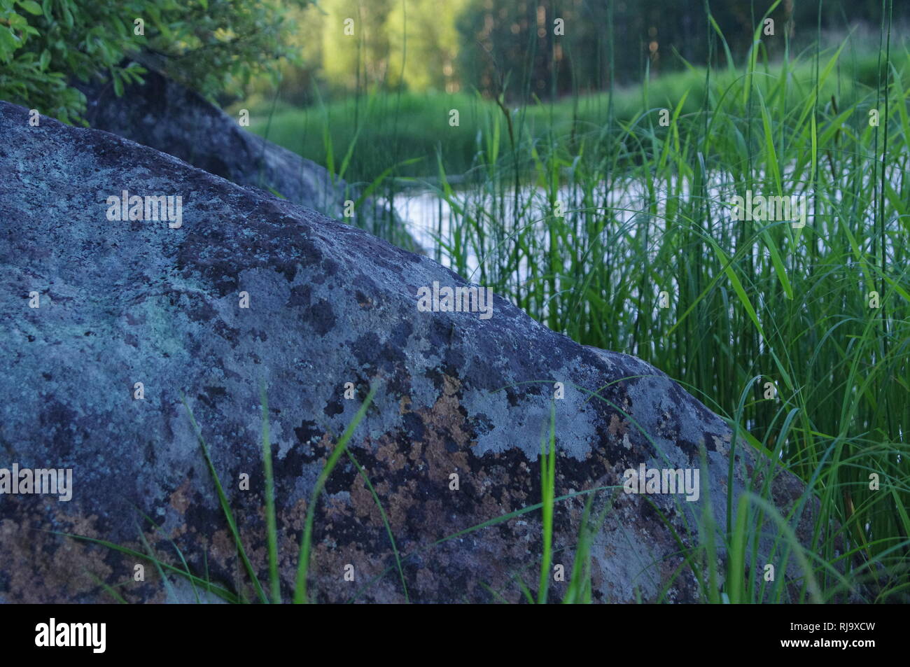Nature of the North Stock Photo - Alamy