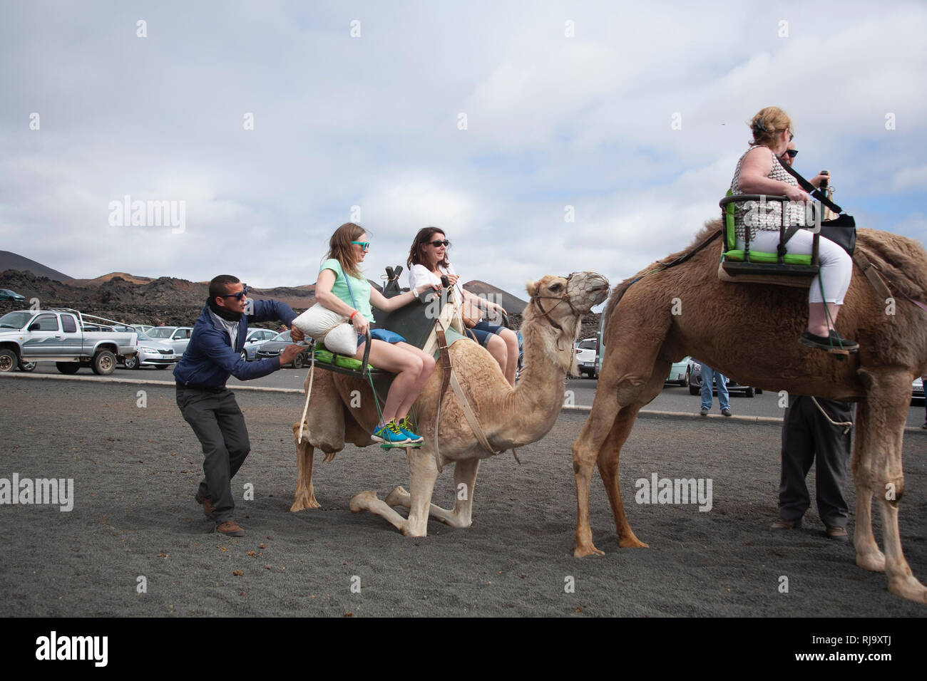 people riding camel in lanzarote Stock Photo - Alamy
