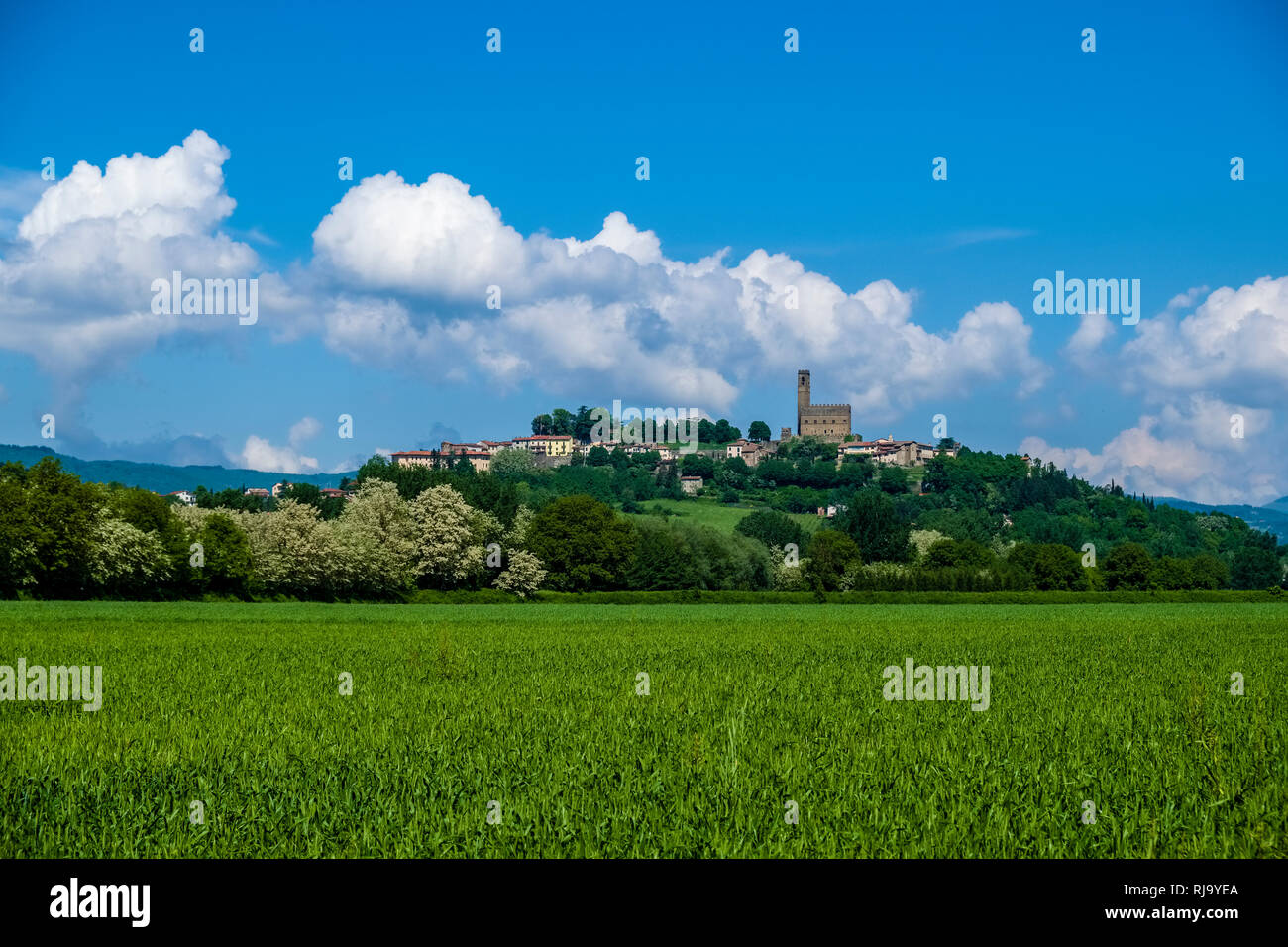 Typical hilly Tuscan countryside with fields and trees, the medieval ...