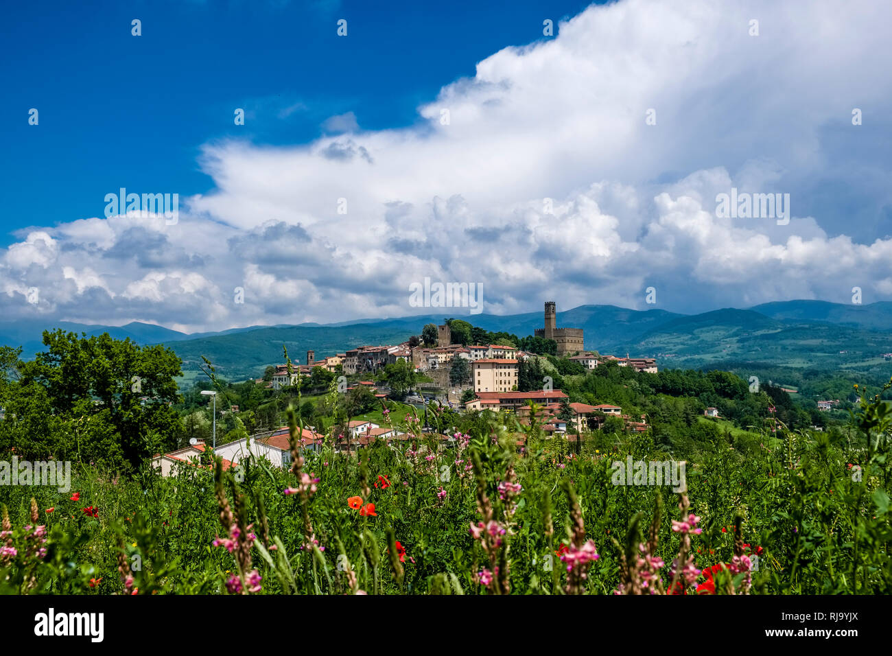 Typical hilly Tuscan countryside with fields and trees, the medieval ...